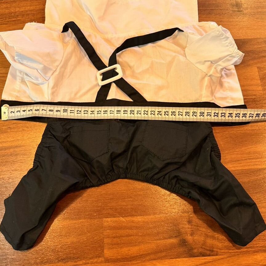 Костюм праздничный для собаки