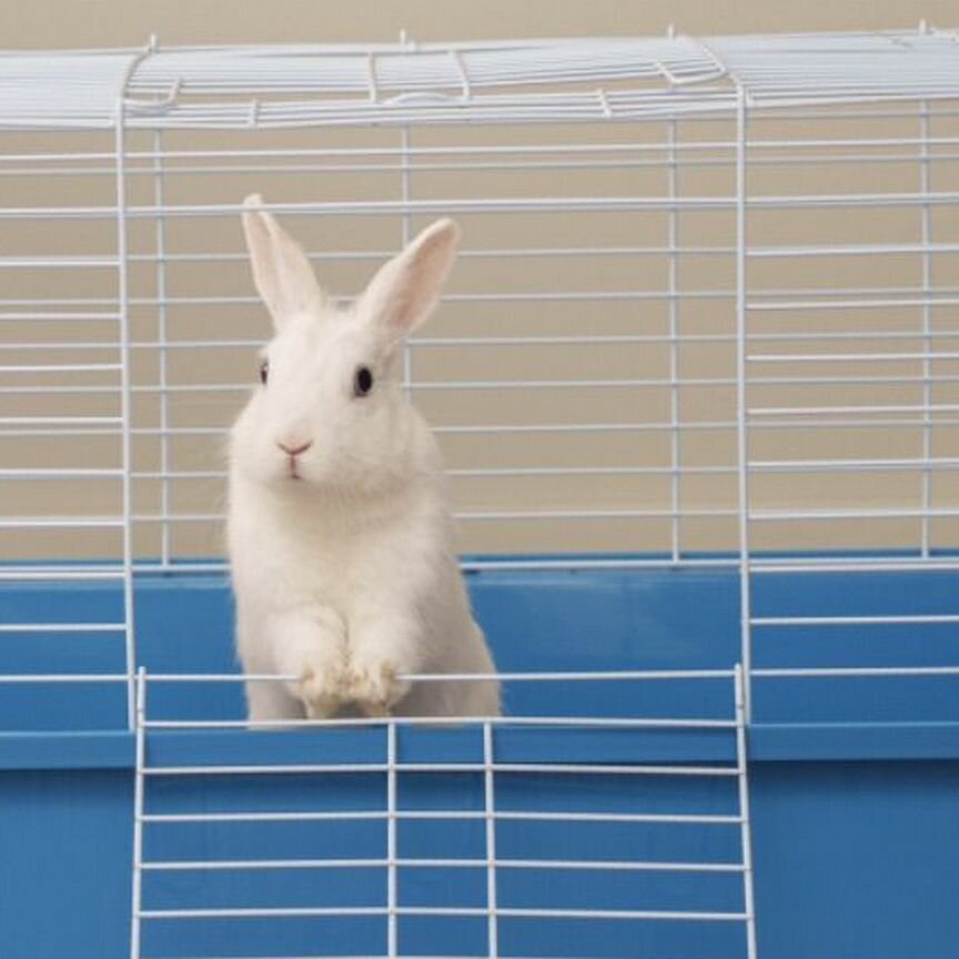 Клетка для грызунов 79х46х43