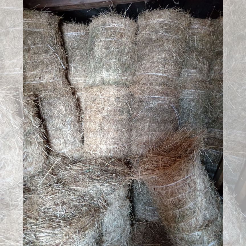Продам сено в тюках