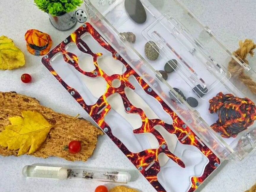 Муравьиная ферма Макси
