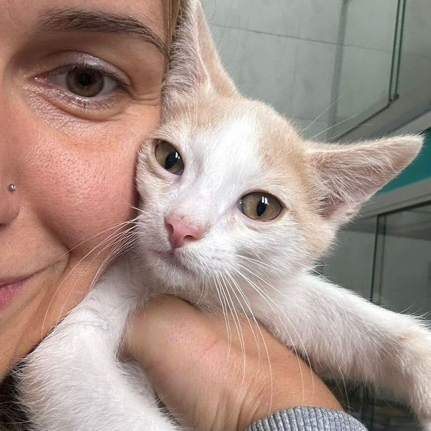 Малыш Кексик ищет дом