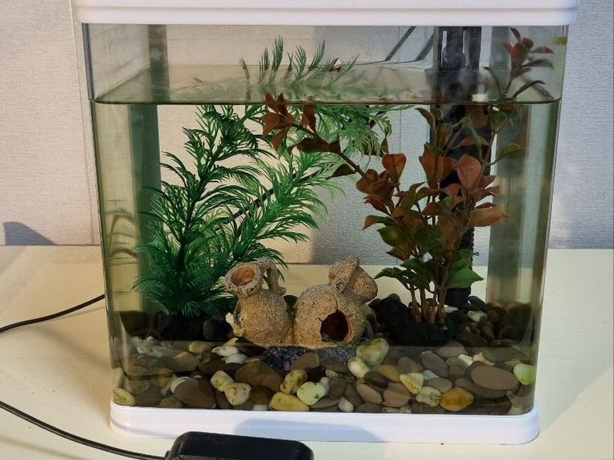 Аквариум 9 литров Barbus Aquarium 004