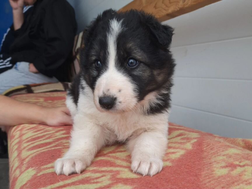 Малыш 2 месяца