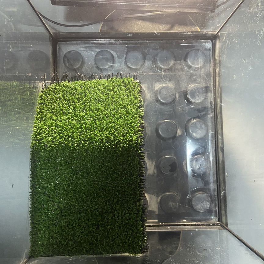 Аквариум/террариум