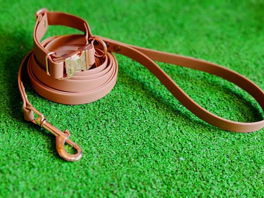 Адресник для собак биотан