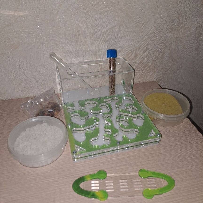 Муравьиная ферма формикарий