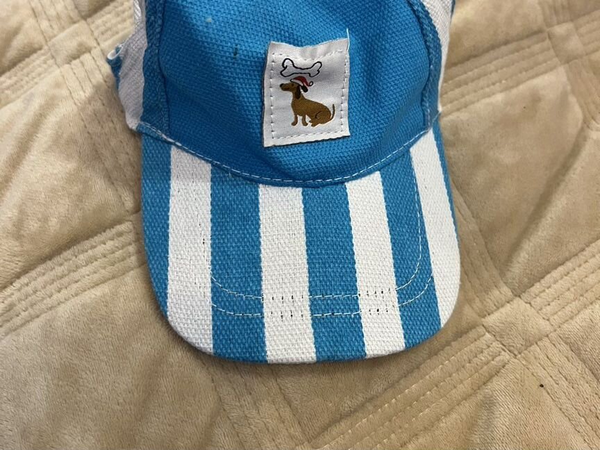 Кепка для собаки