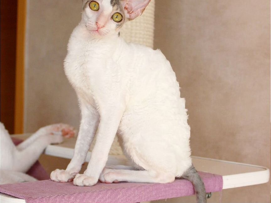 Малышка Ксения