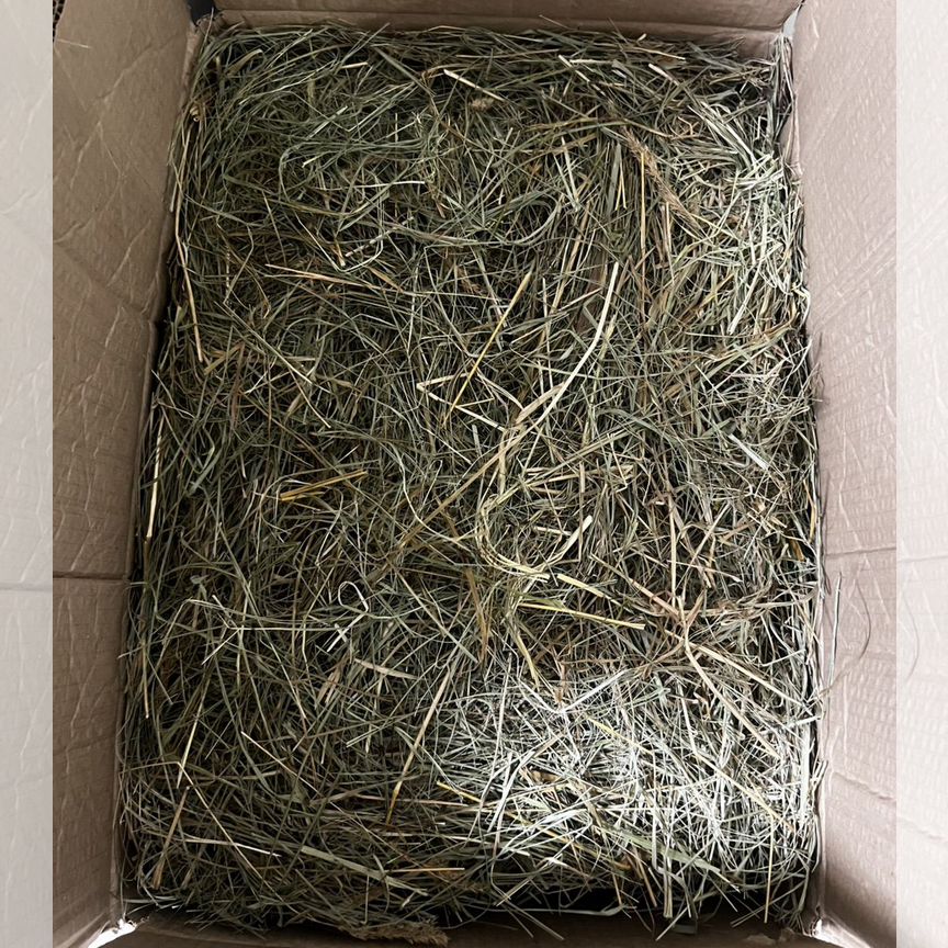 Сено для грызунов