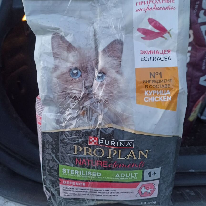 Сухой корм для кошек pro plan