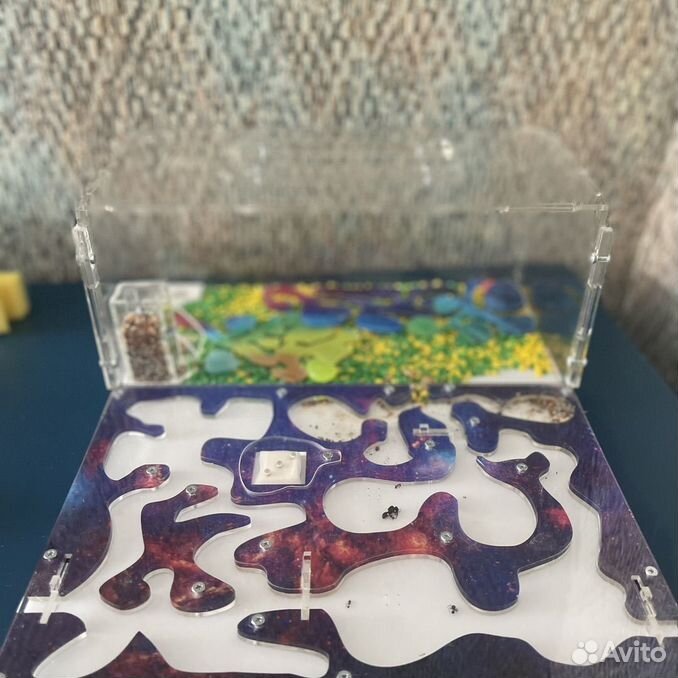 Фурмикарий. Муравьиная ферма