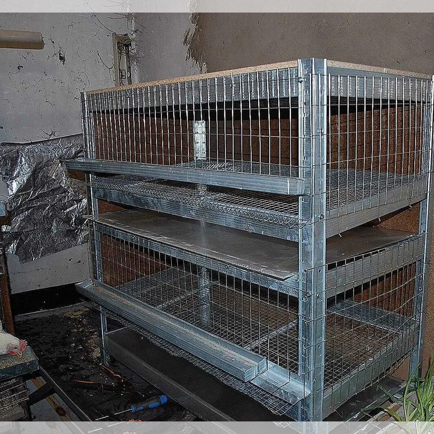 Клетки для кур