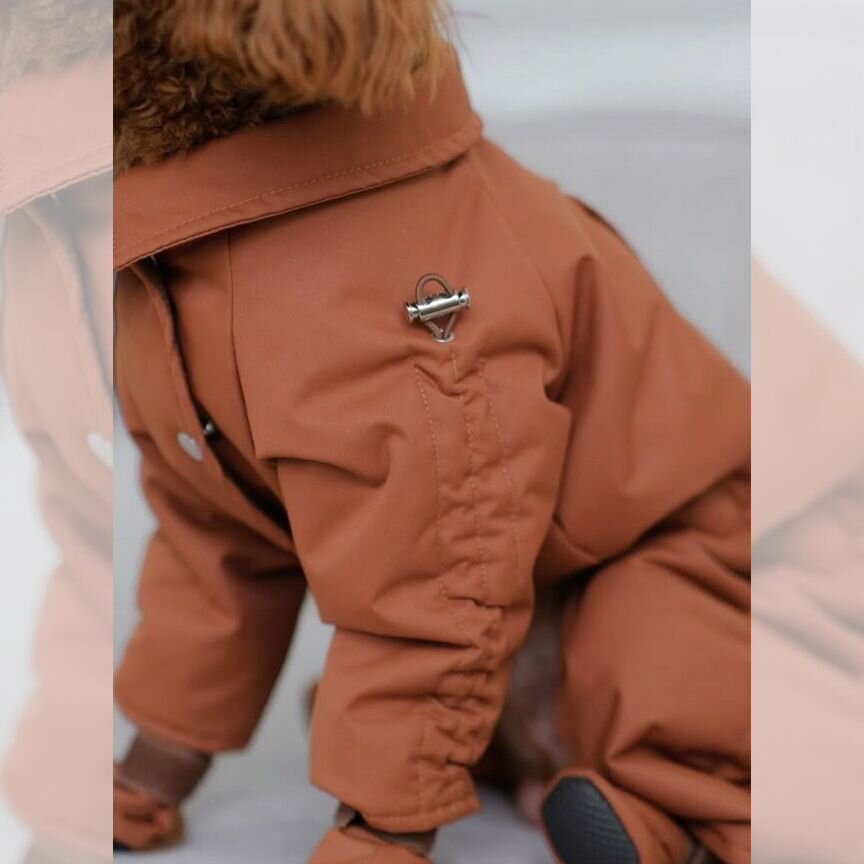 Одежда для собак