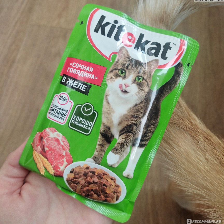 Корм для кошек kitekat паучи