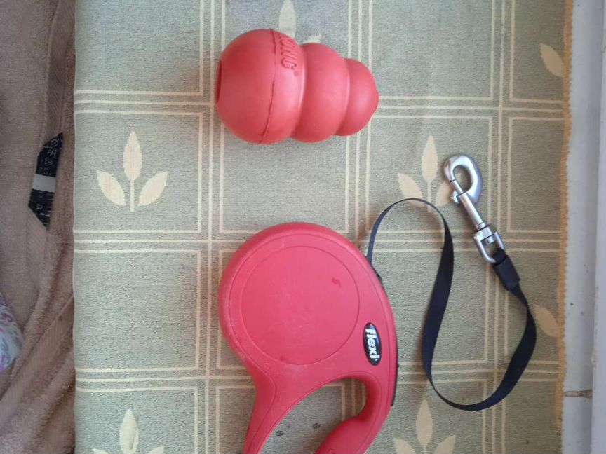 Рулетка для собак flexi 5м, игрушка Kong, кликер