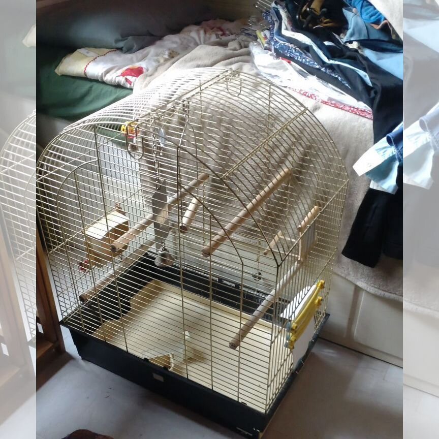 Клетка большая для кого хошь