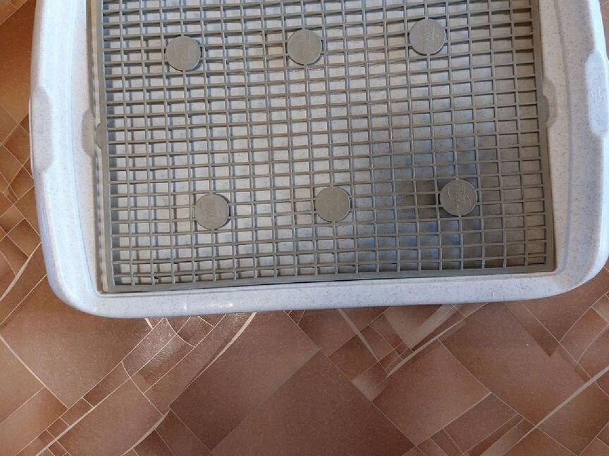 Приспособления для собак