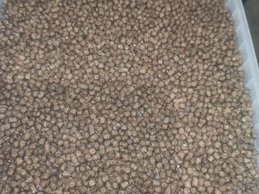 Корм для карпов кои