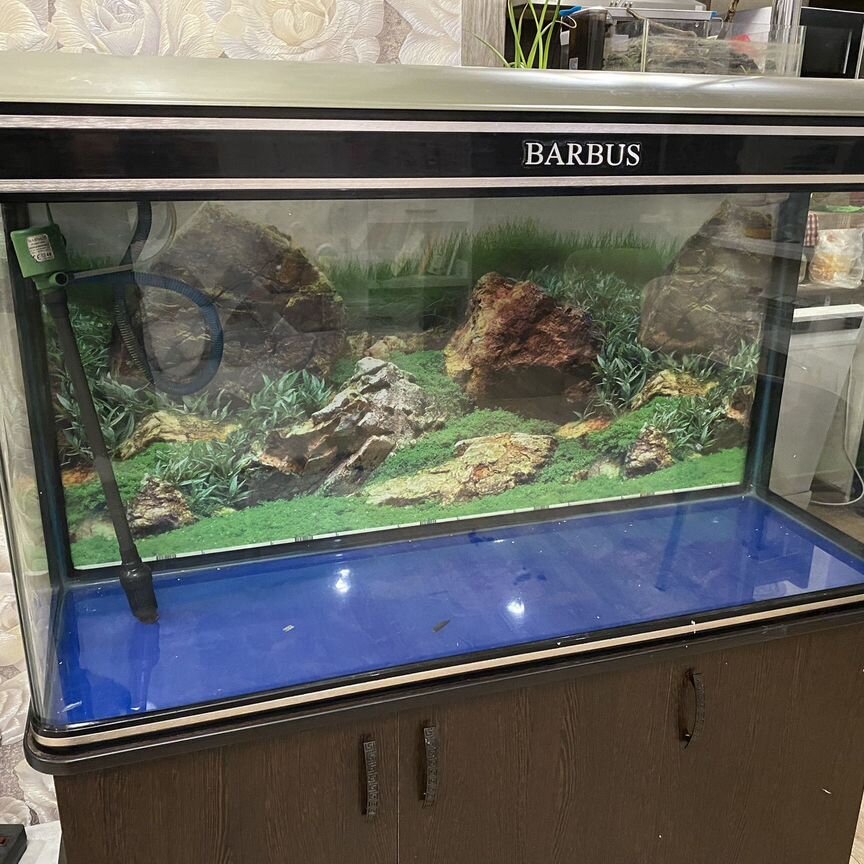 Аквариум barbus 270л