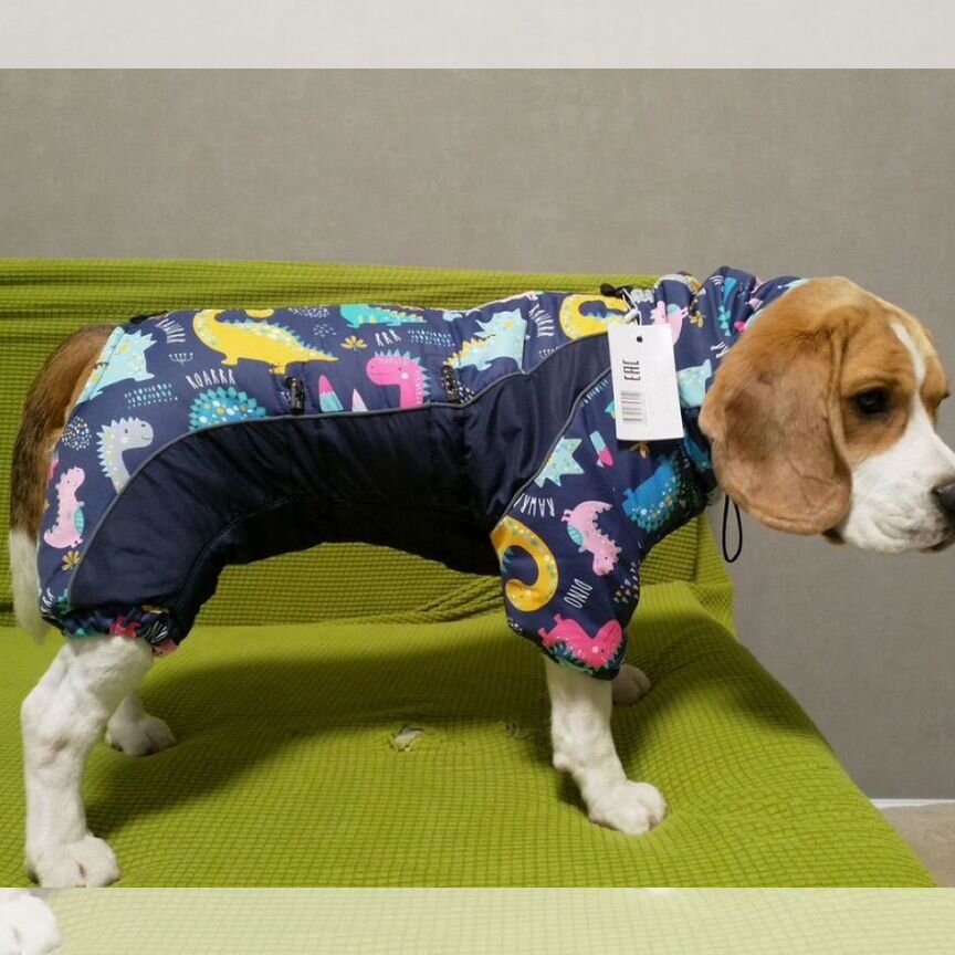 Одежда для собак