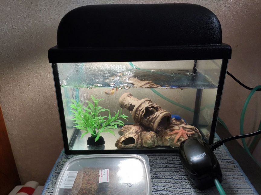 Аквариум в сборе