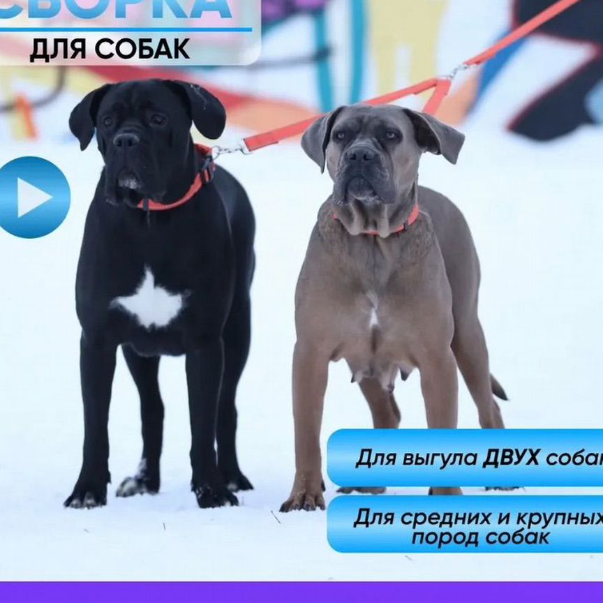 Поводок-сворка для 2 собак 25мм х 50см