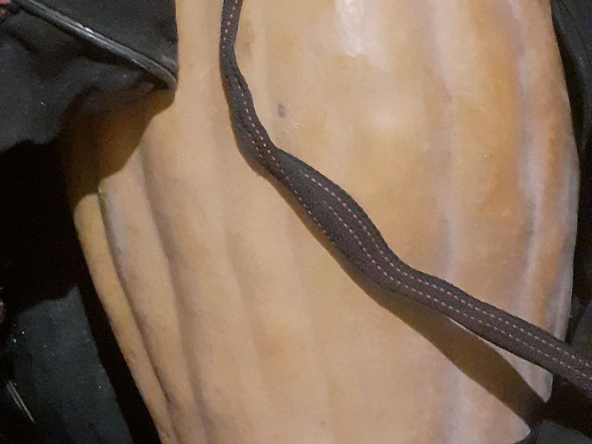 Большая тыкова