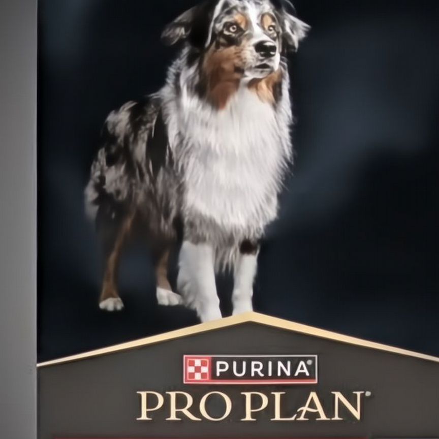 PRO plan sensitive skin с лососем, 14 кг