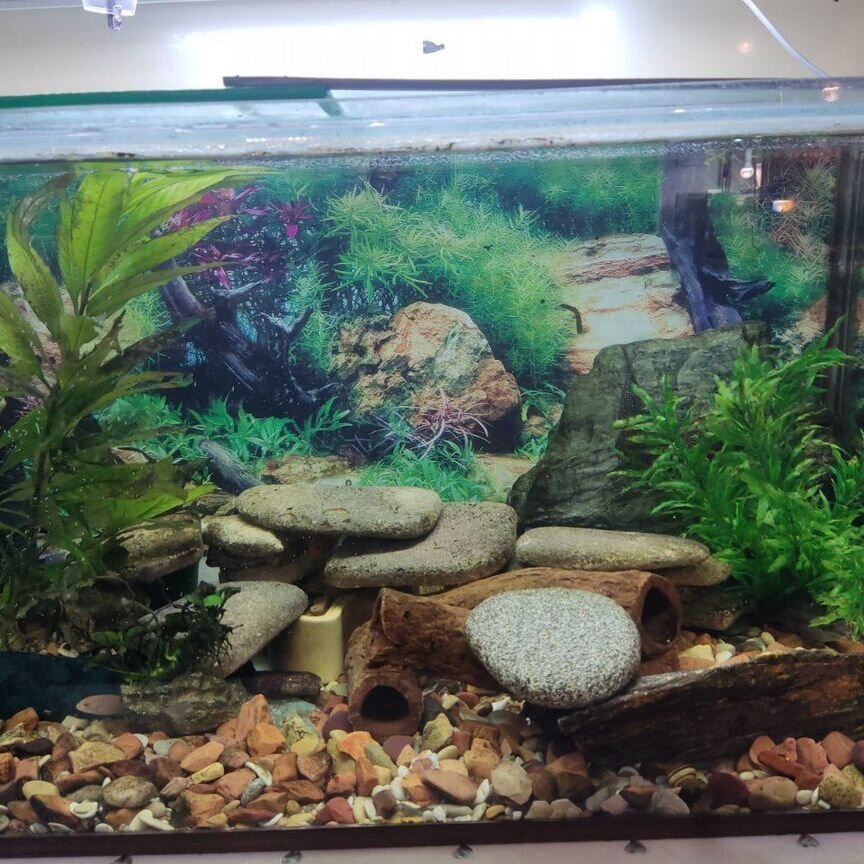 Аквариум с рыбками 150 литров