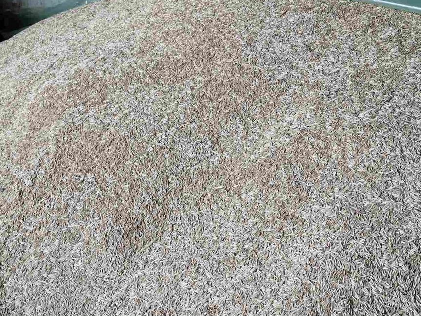 Продам овес ячмень пшеницу по 9р