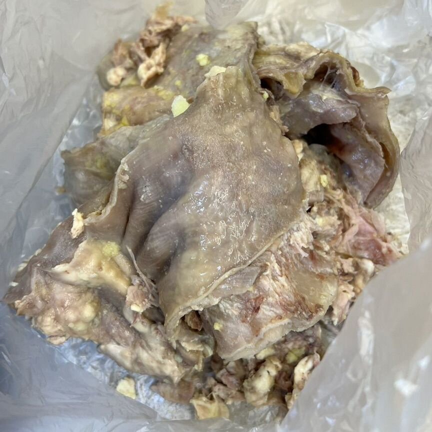 Еда для собак