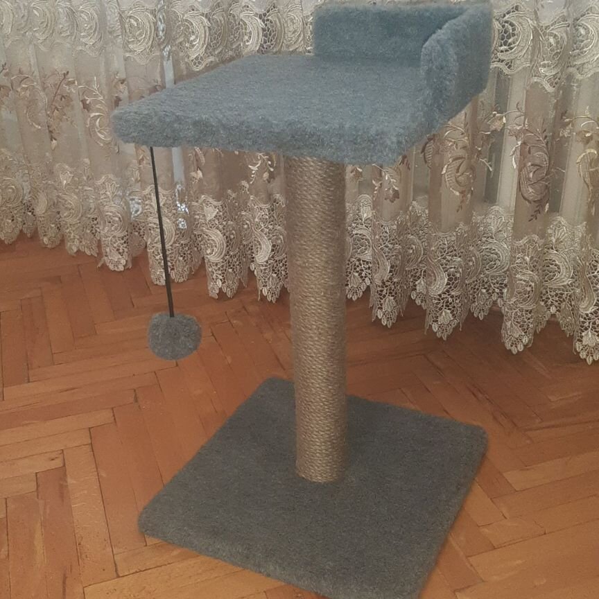 Когтеточка, высота 50 см