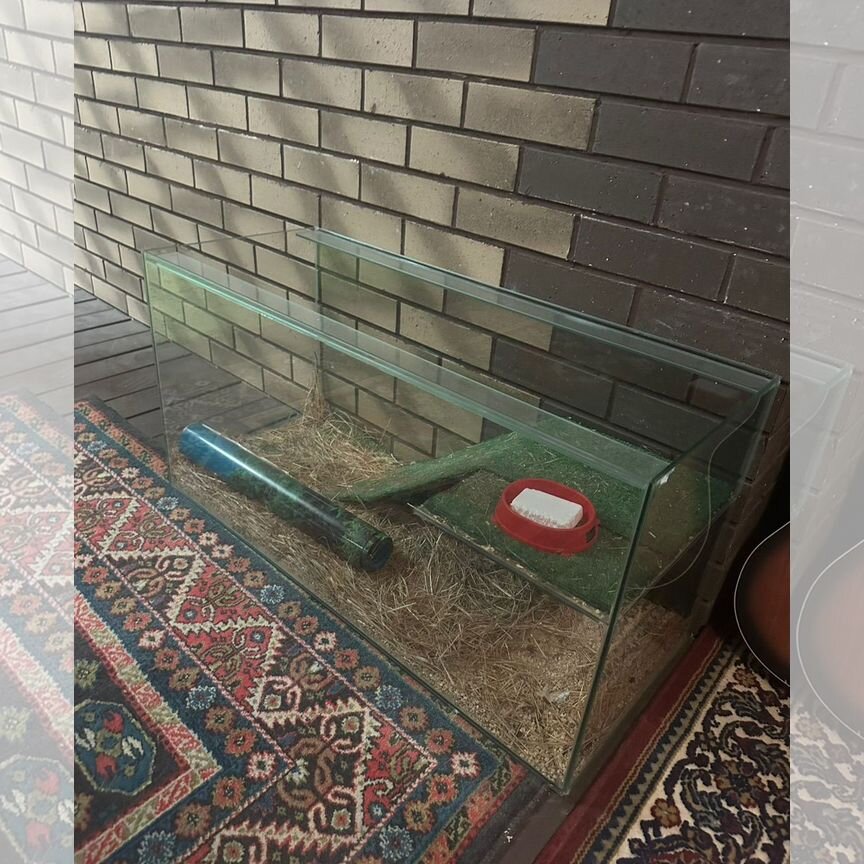 Террариум для черепахи
