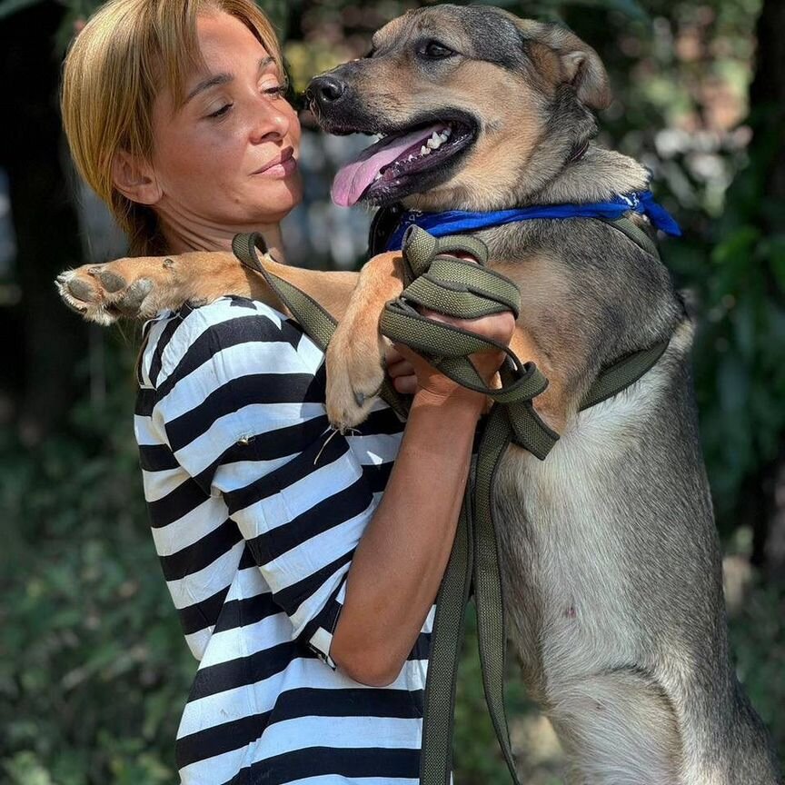 Озорная красотка Мина ищет дом