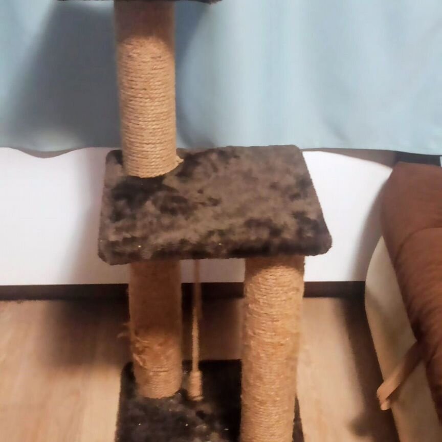 Когтеточка для кошек