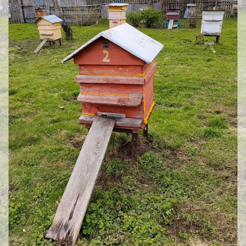Продам улий с пчелами