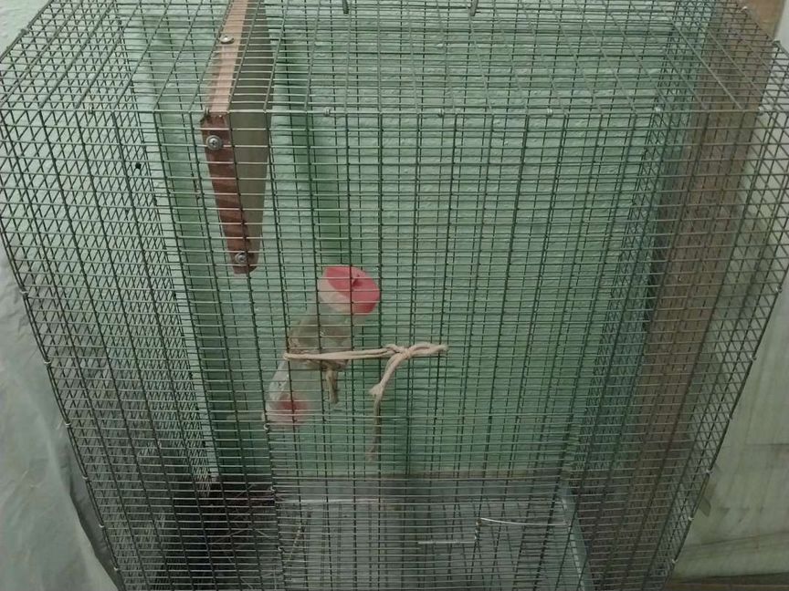 Клетка 90х60х40