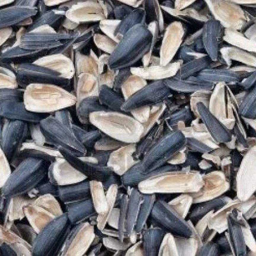 Лузга подсолнечника