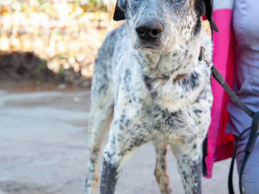 Взрослый но добрый дядя Федор