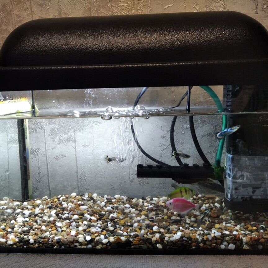 Аквариум с рыбками и аксессуарами