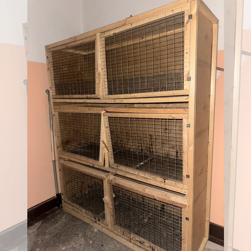 Брудер для цыплят бу