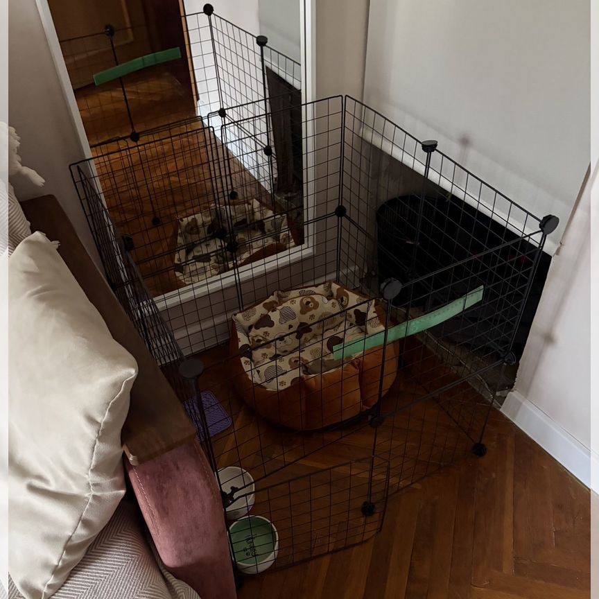 Вольер для собак