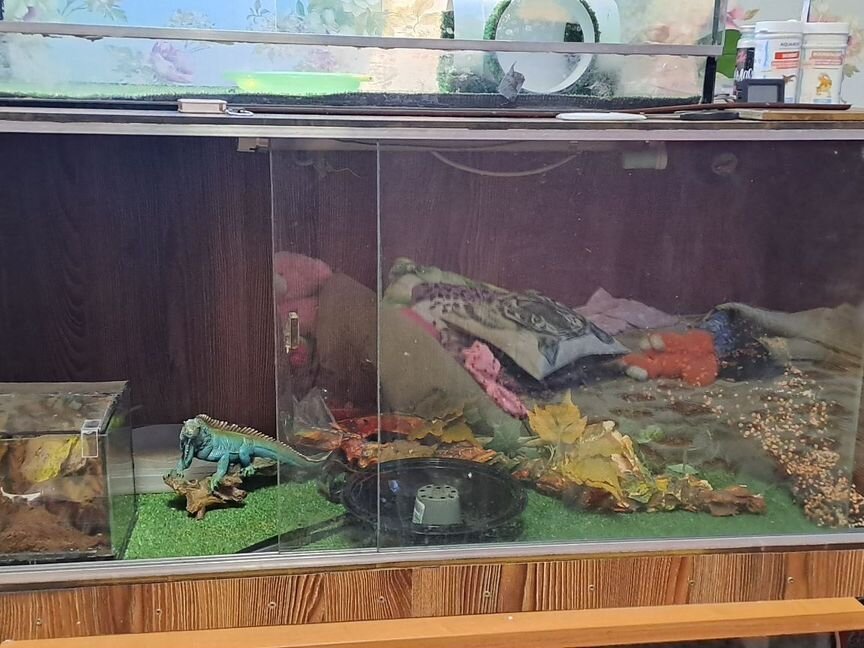 Террариум 100х43х46