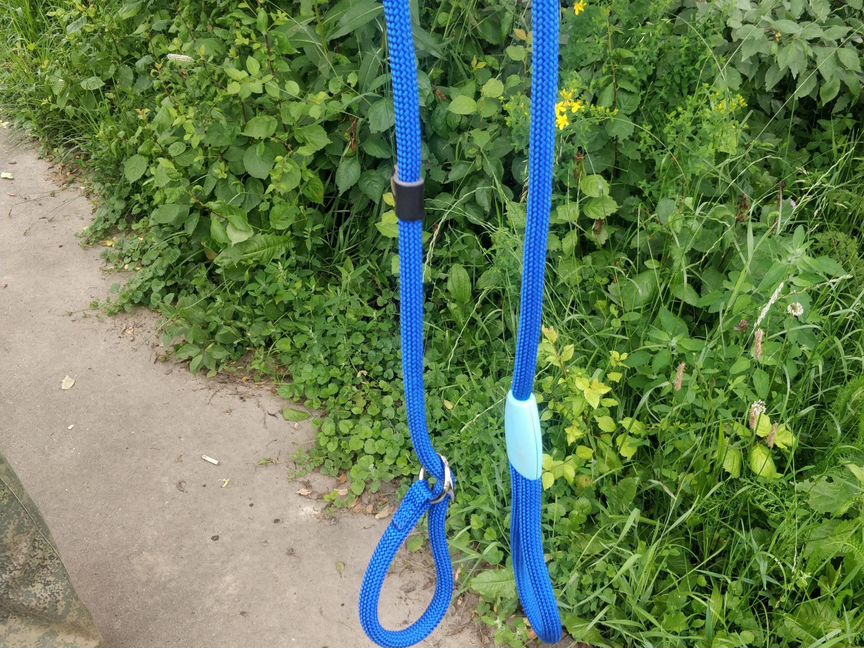 Ошейник удавка для собак