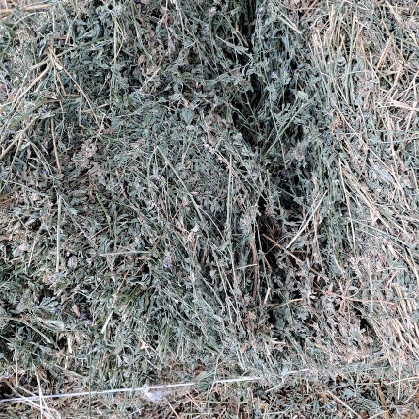 Сено люцерны в тюках