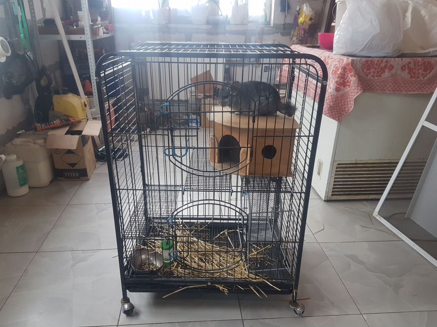 Клетка для шиншиллы бу