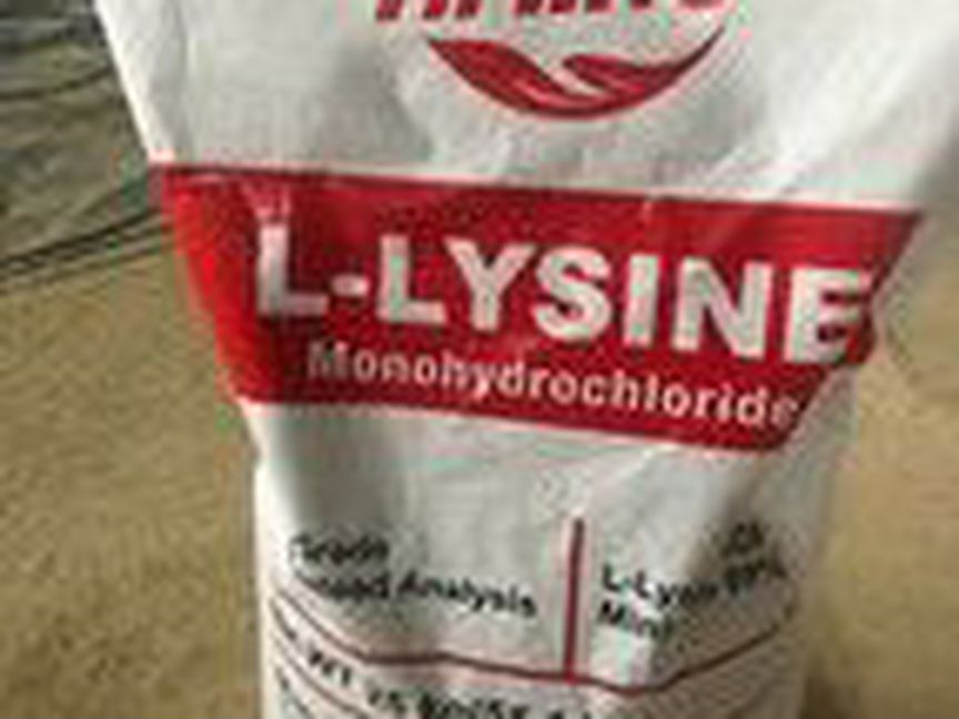 Кормовая добавка Лизин (L-Lysine 99). Производств
