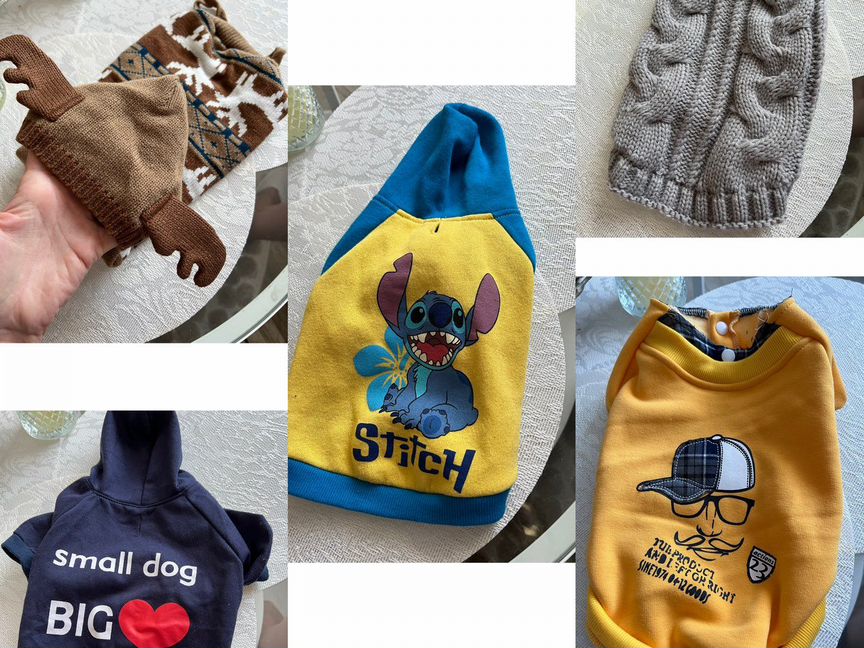 Вещи на маленькую собаку