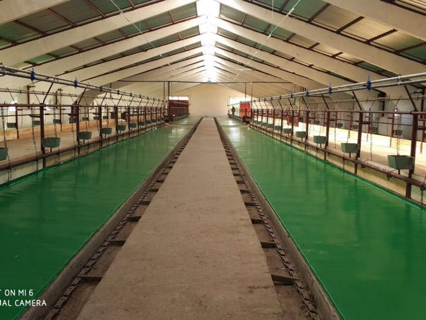 Молокопроводы, стойло, поение для крс