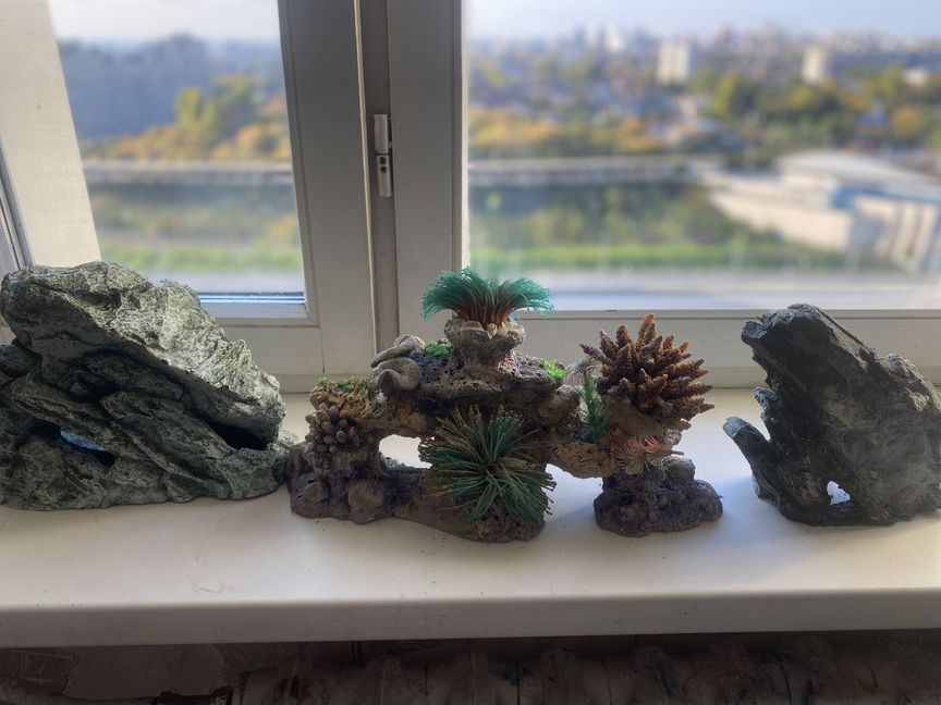 Декор в аквариум, коралл настоящий